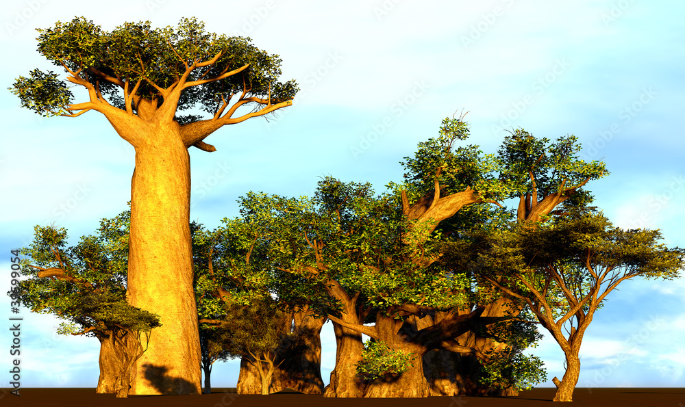 African baobabs Stock Illustration | Adobe Stock
