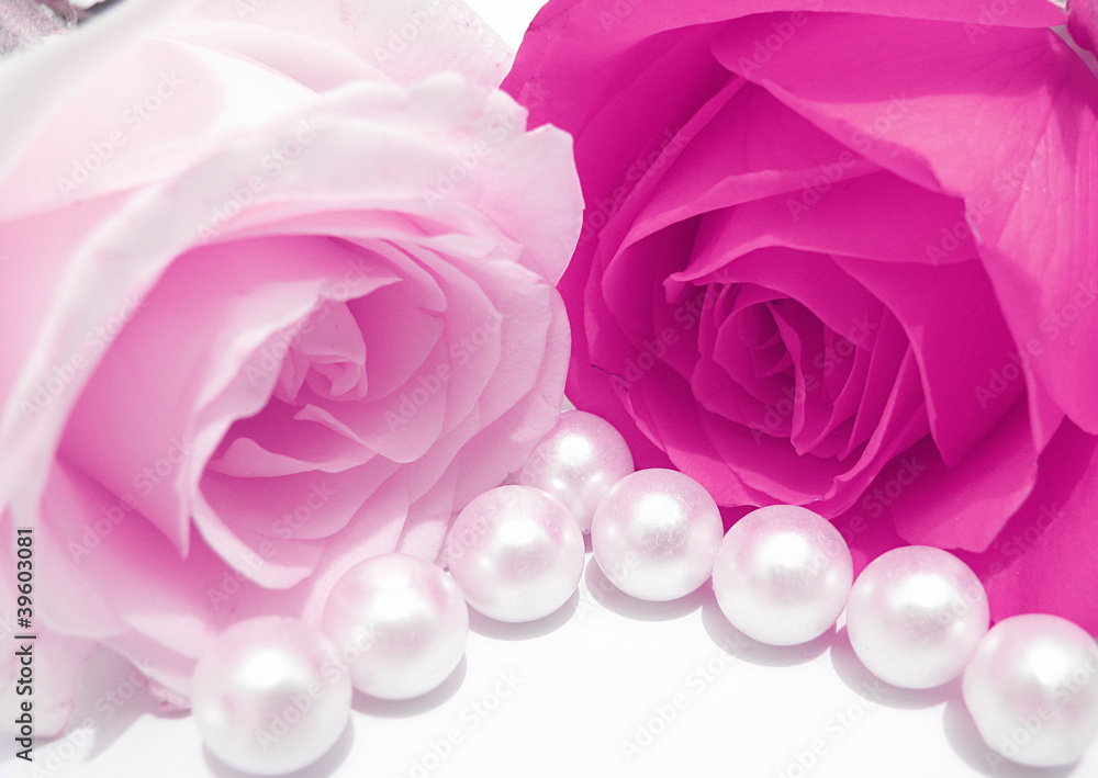 Beautiful,soft,pink roses and pearls in front of them Stock Photo ...