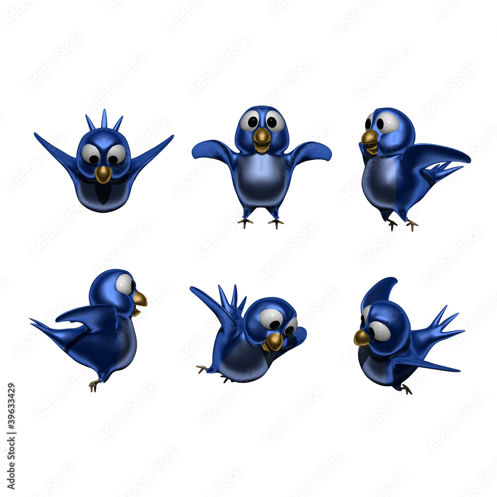 Birds At Different Angle