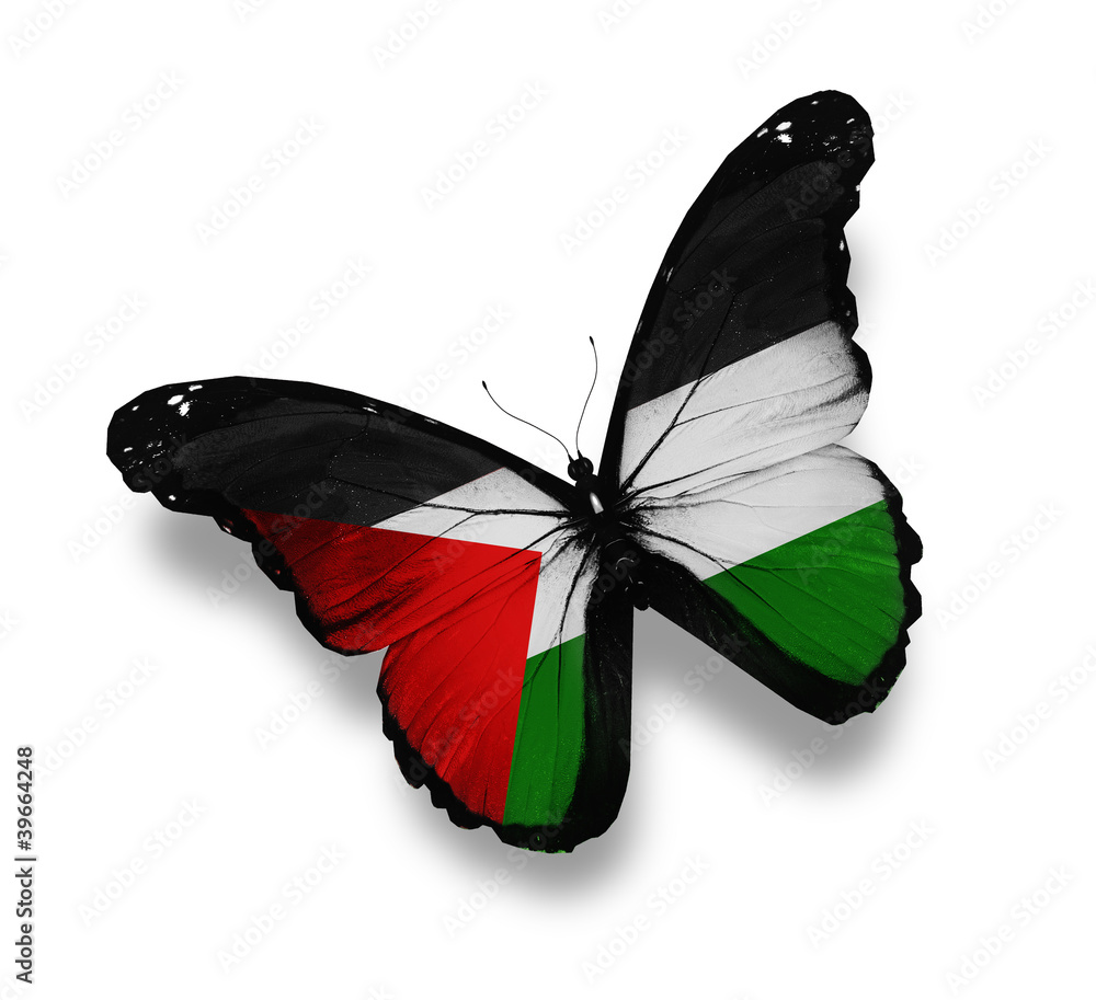 Palestinian flag butterfly, isolated on white Stock Illustration ...
