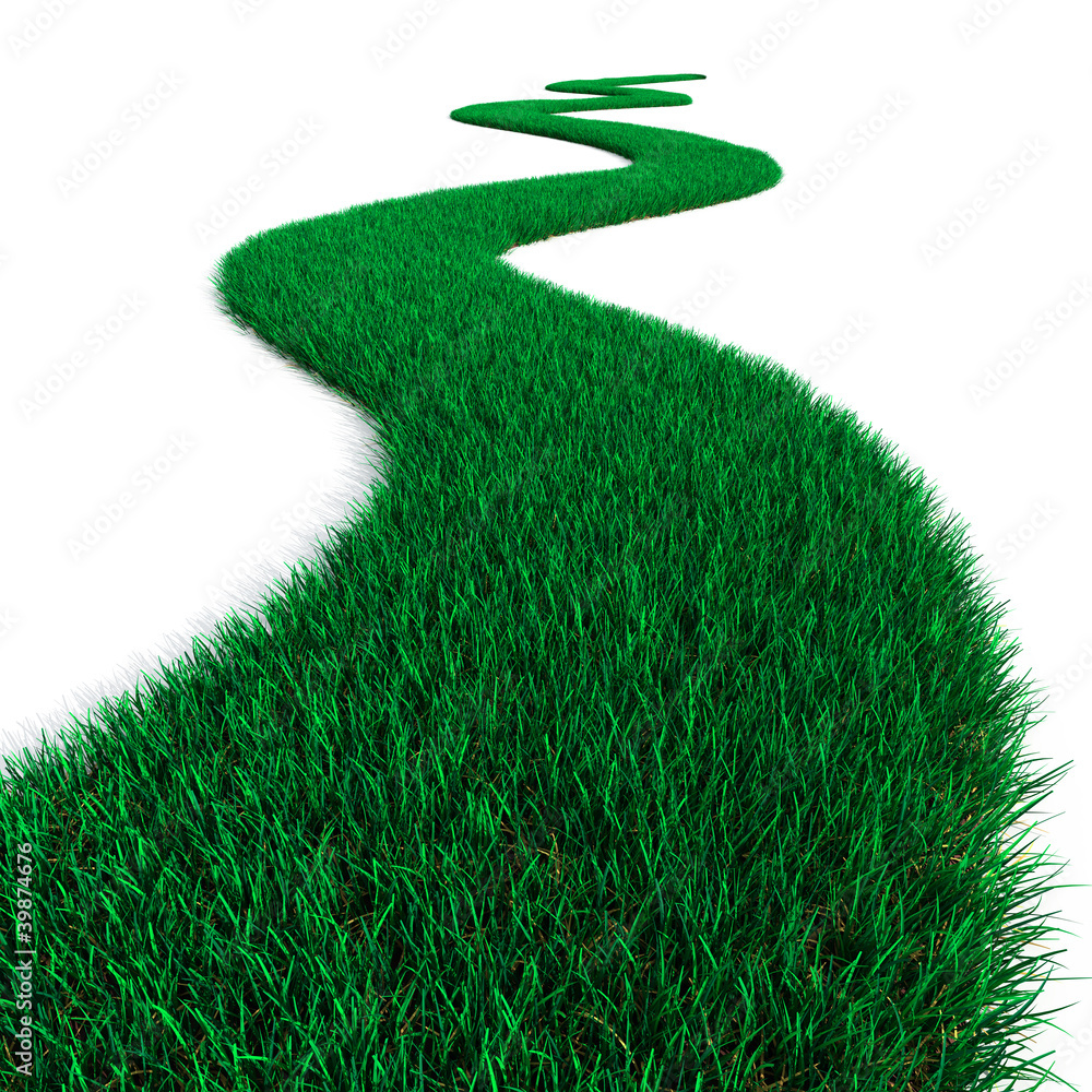 Green Grass Path Stock Illustration Adobe Stock
