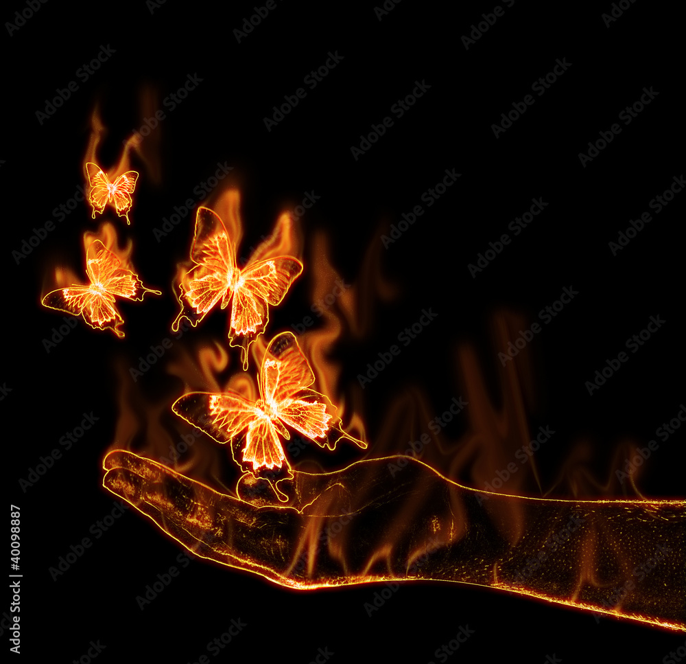 Papillon en feu Photos | Adobe Stock