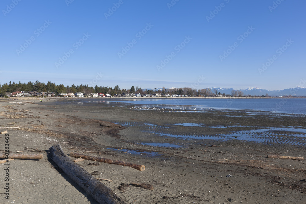 the beach at Boundary bay regional Park, Delta BC Stock Photo | Adobe Stock