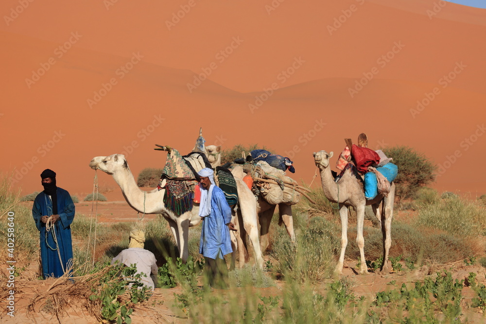 Nomaden der Sahara Stock-Foto | Adobe Stock