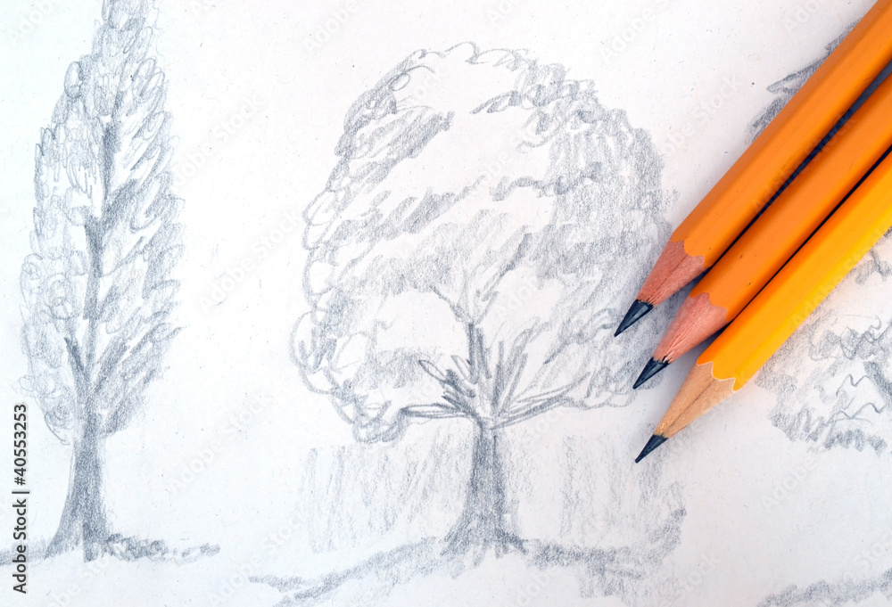 Pencil drawing of shaded trees Stock Photo | Adobe Stock