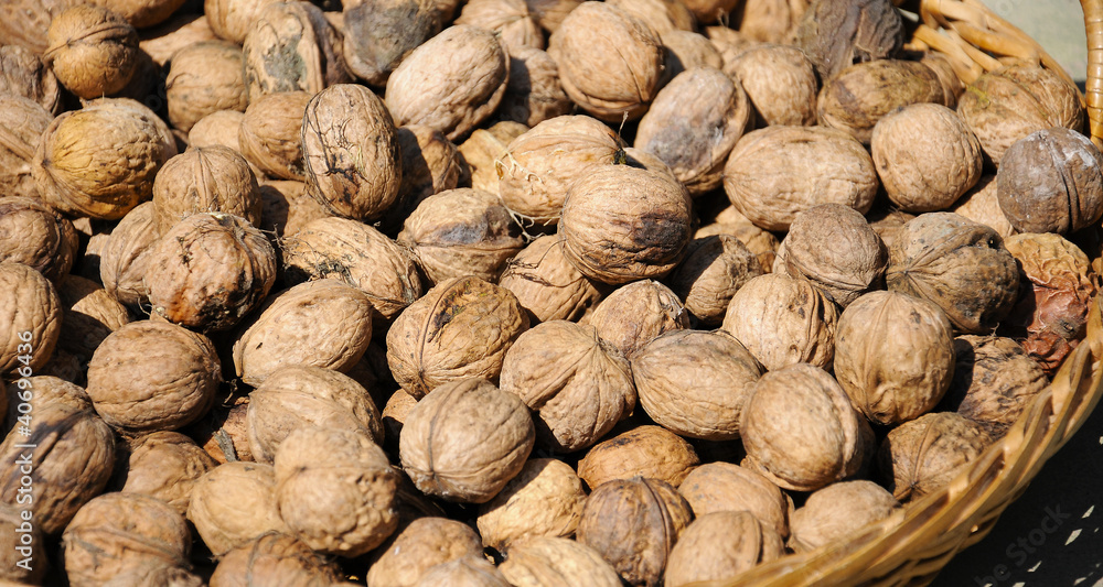 Nueces, fruto del nogal. Stock Photo | Adobe Stock