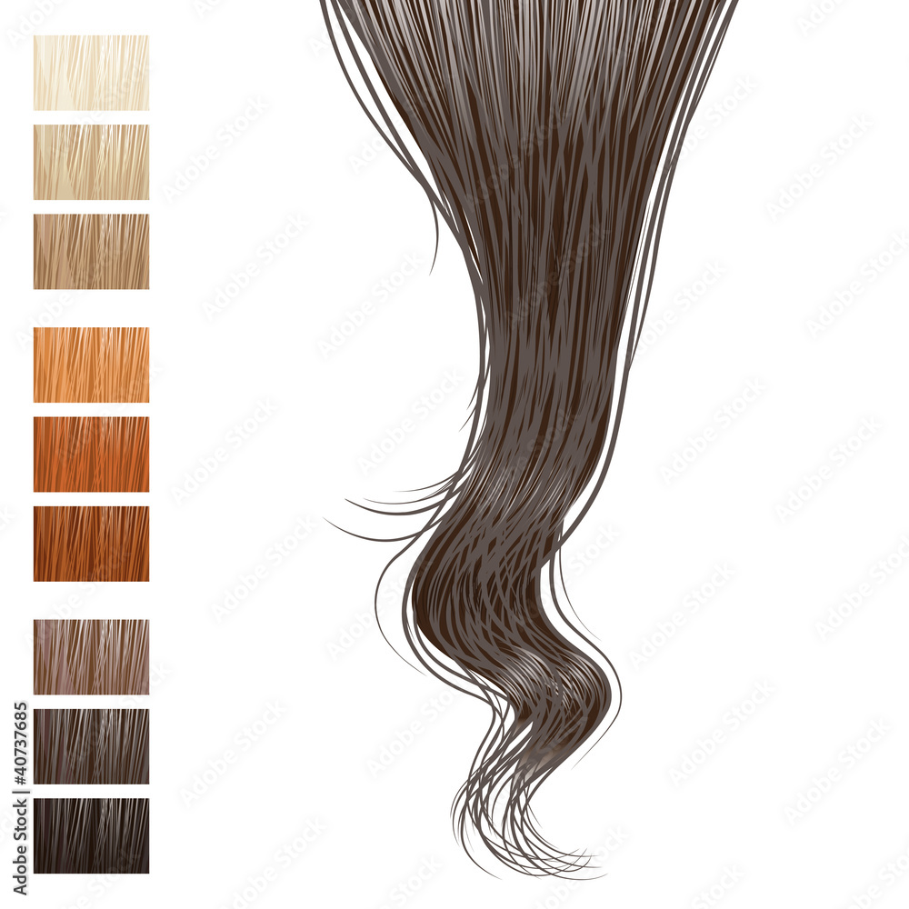 hair lock Stock Vector | Adobe Stock