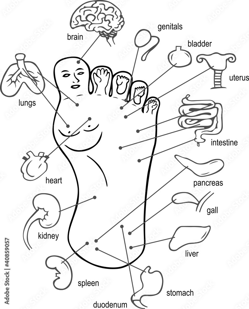 Acupuncture points on foot Stock Illustration | Adobe Stock
