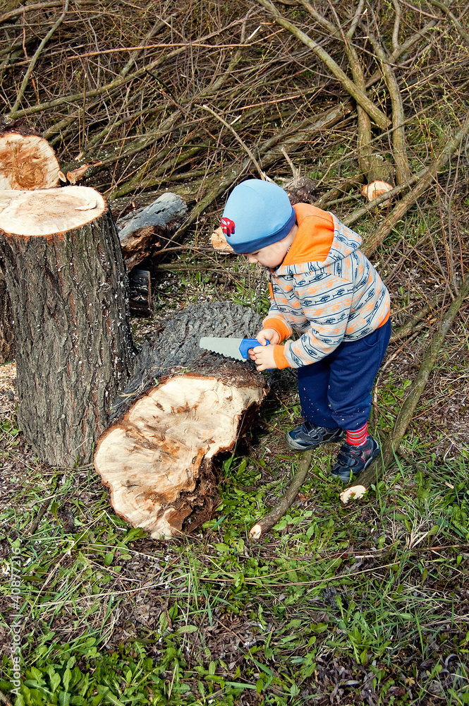 Woodcutter Cutting Trees