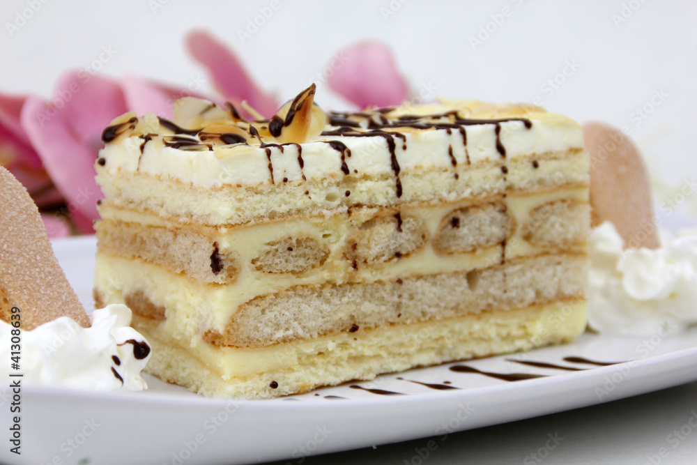 Cremeschnitte mit Biskotten Stock-Foto | Adobe Stock
