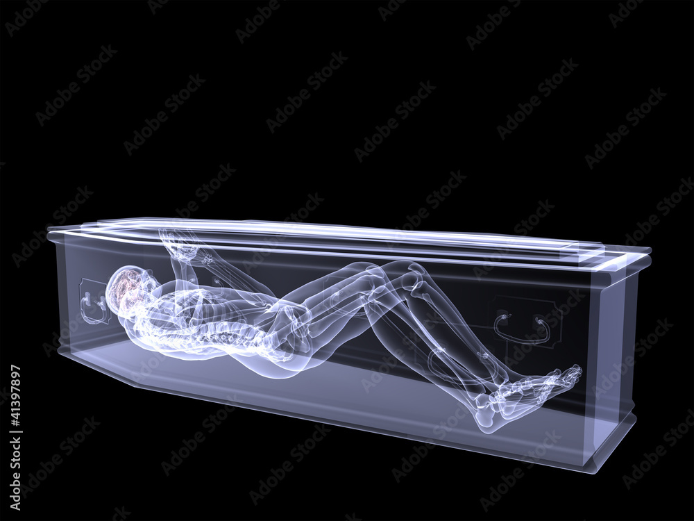 Skeleton X-Ray - Trapped in a Coffin Stock Illustration | Adobe Stock