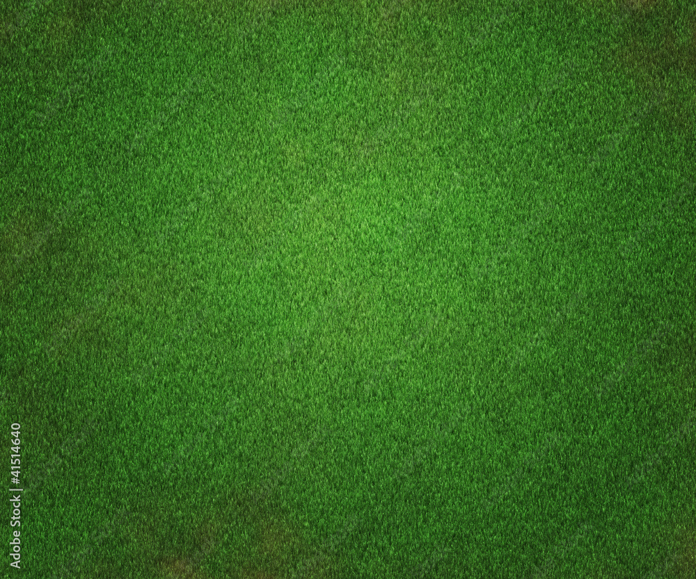 Grass Texture Background Stock Photo | Adobe Stock