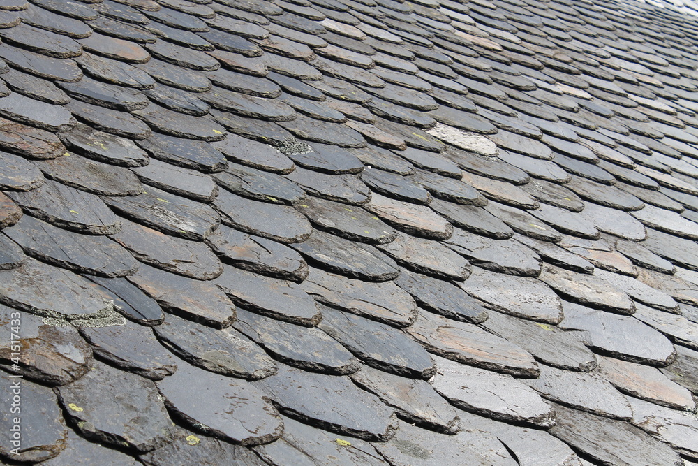 Toit en ardoise en Auvergne Stock Photo | Adobe Stock