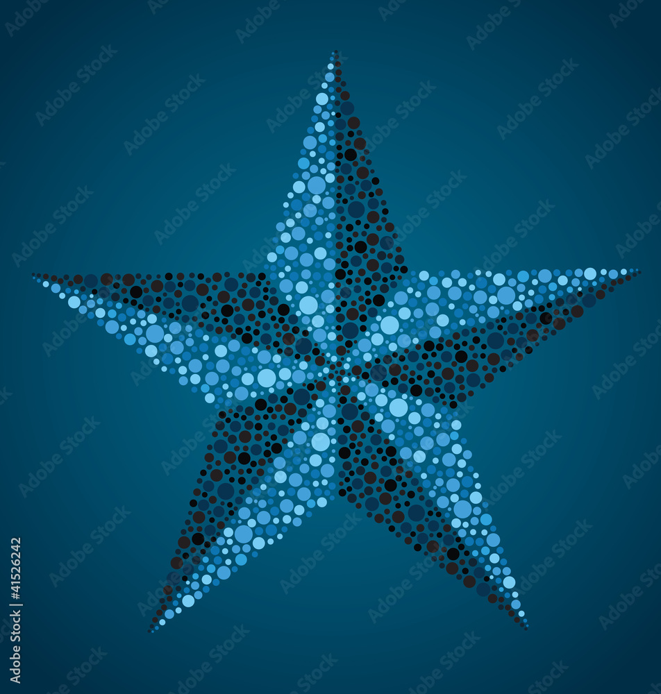 Nautical Star Stock Vector | Adobe Stock