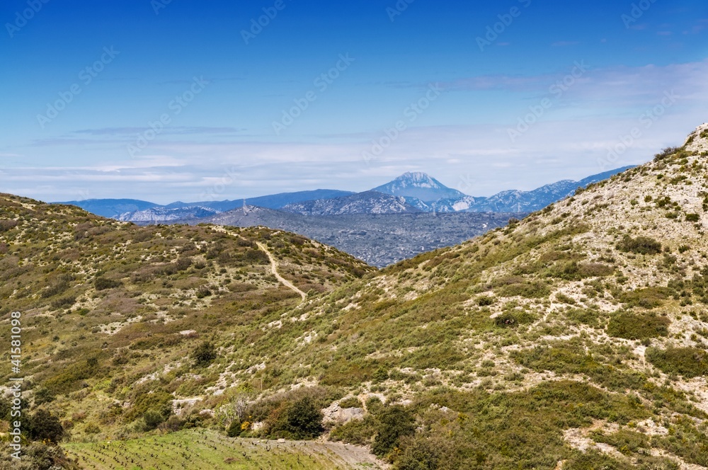 Paysage de Garrigue aride_Garrigue arid landscape. Stock Photo | Adobe ...