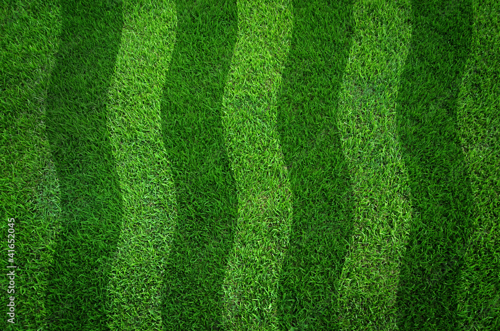 Green grass texture background And wavy lines Stock Illustration ...