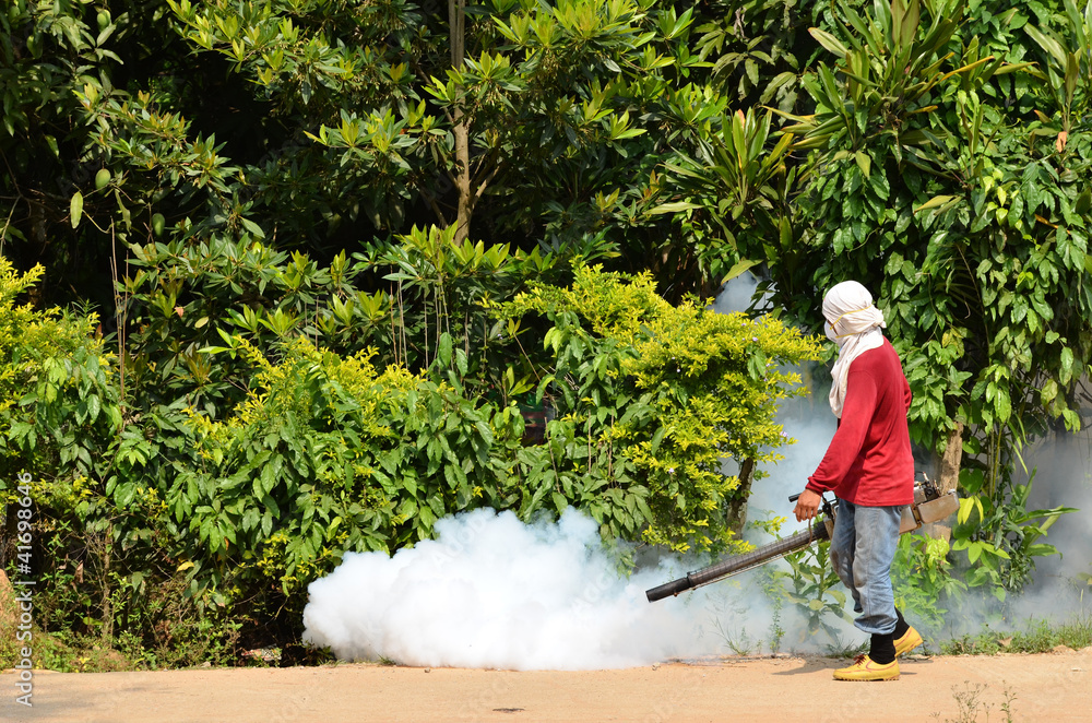 Fogging to prevent spread of dengue fever Stock Photo | Adobe Stock