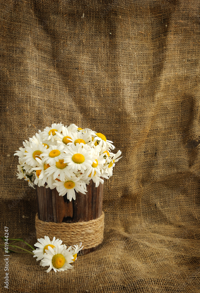 Vintage Daisy Backgrounds