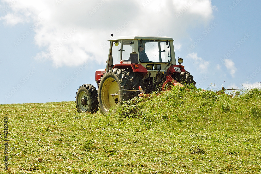 heuernte Stock-Foto | Adobe Stock