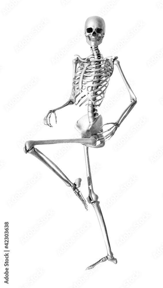 Skeleton Standing - Pencil Drawing Style Stock Illustration | Adobe Stock