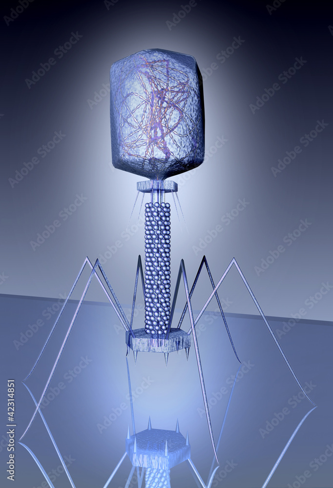 3D-Modell einer T4-Phage Stock Illustration | Adobe Stock
