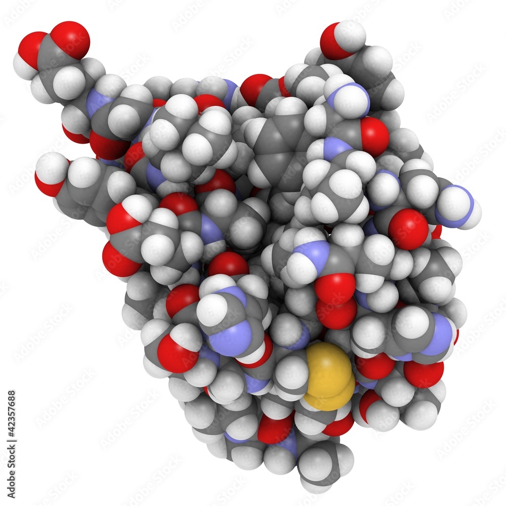 Insulin molecule Stock Illustration | Adobe Stock