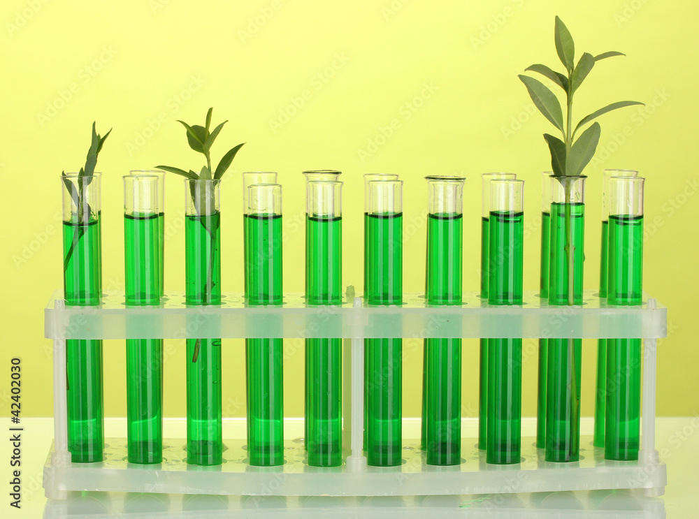 Test-tubes with a green solution and the plant Stock Photo | Adobe Stock