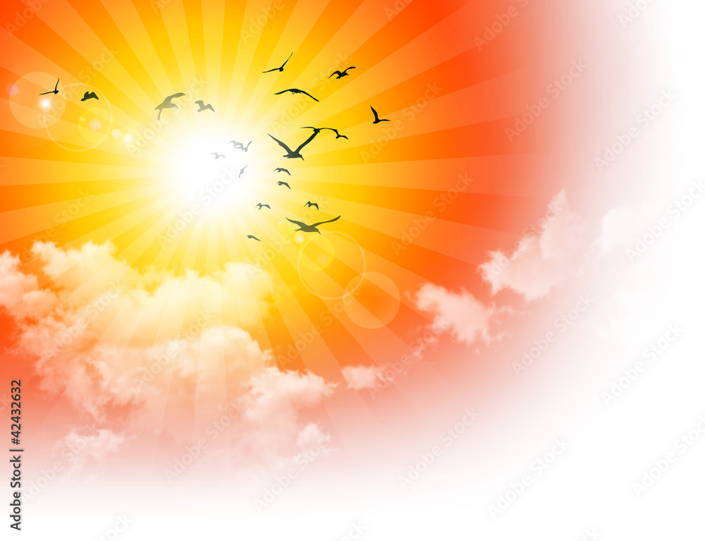 sunlight header Stock Photo | Adobe Stock