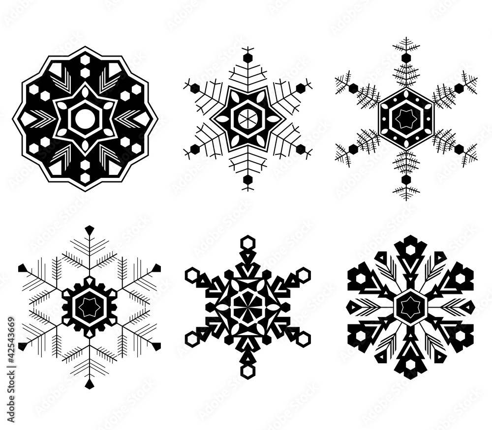 Stet of six different types of snow flakes Stock Vector | Adobe Stock