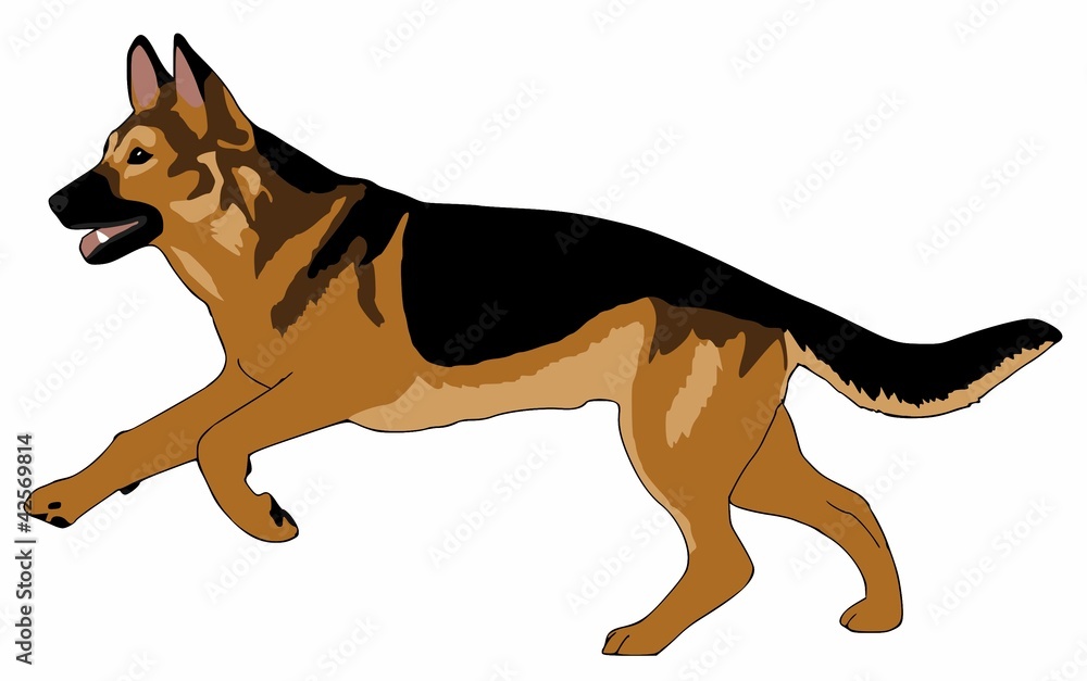 Deutscher Schäferhund ClipArt Stock Illustration | Adobe Stock