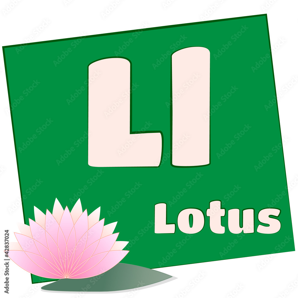 L-lotus/Colorful alphabet letters with words and their image Stock ...