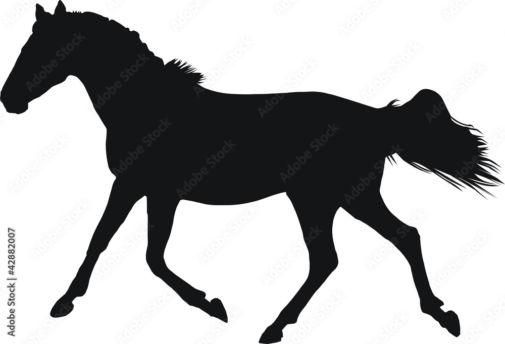 pictogramme cheval Stock Photo | Adobe Stock