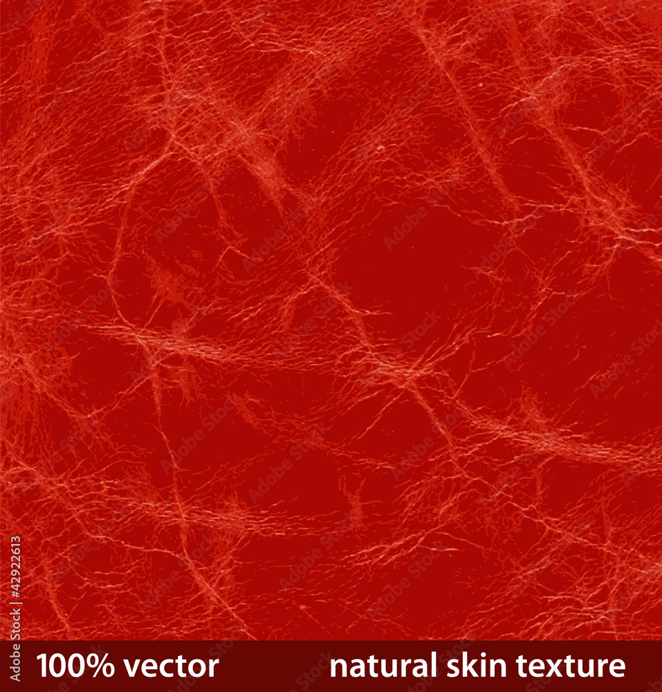 vector illustration. natural skin textures Stock Vector | Adobe Stock