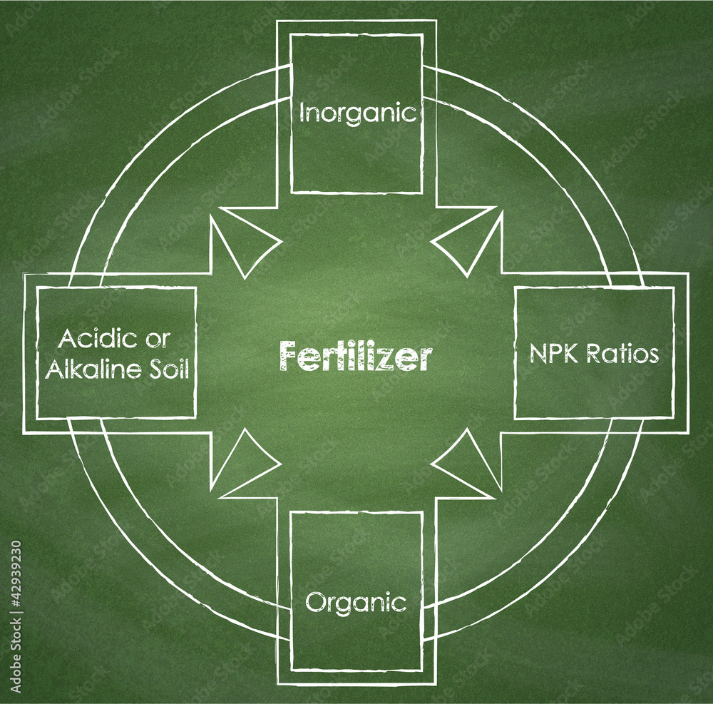 Types of fertilizer. Diagram on chalkboard background Stock ...
