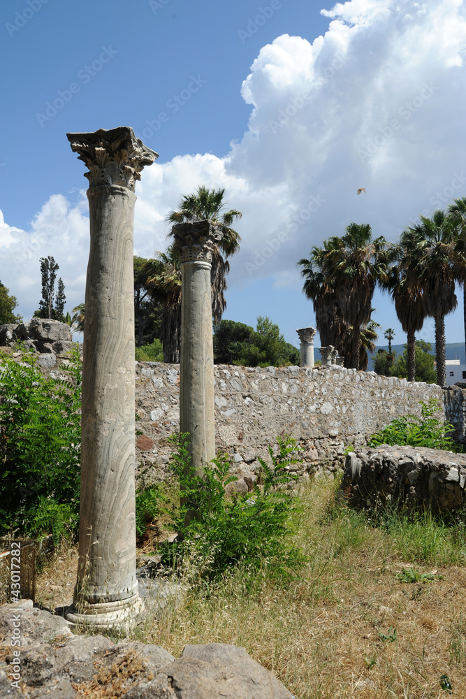 Les ruines de la stoa du port à Kos sur l'île de Kos Stock-Foto | Adobe ...
