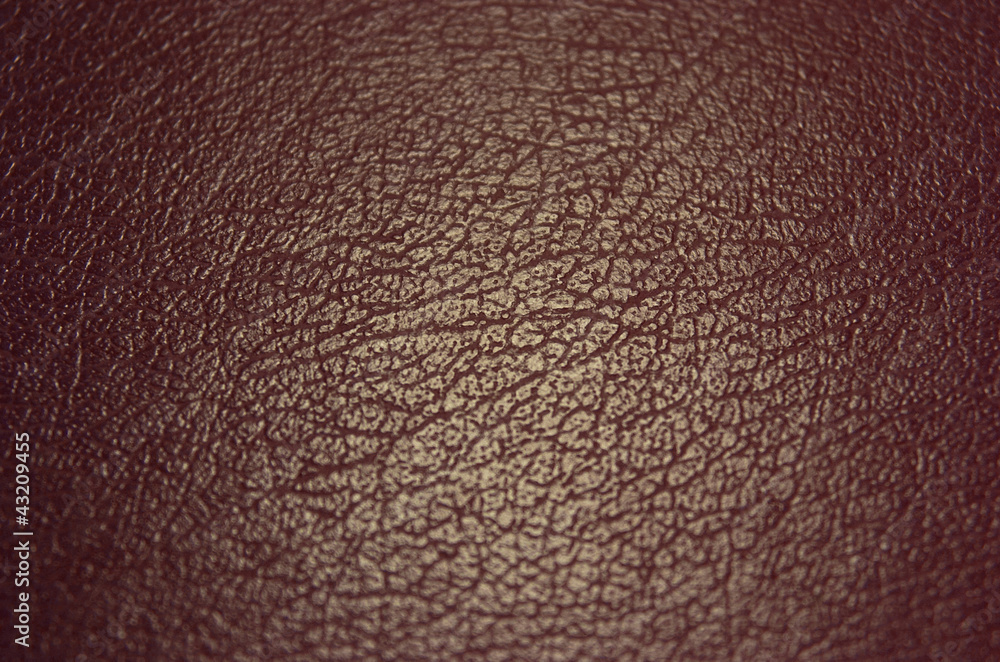 Fondo cuero Stock Photo | Adobe Stock