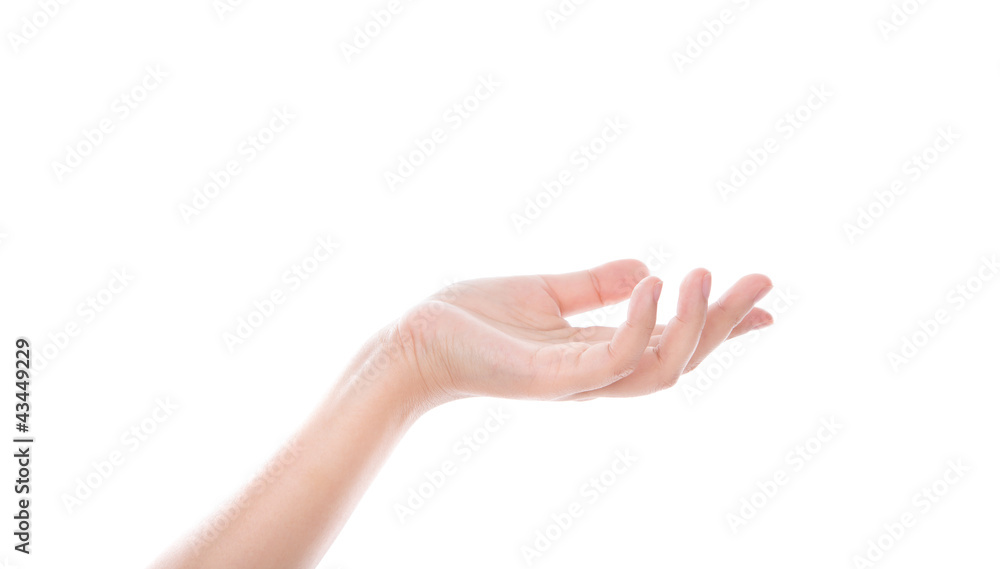 Beautiful woman's hand, palm up isolated on white background Stock ...