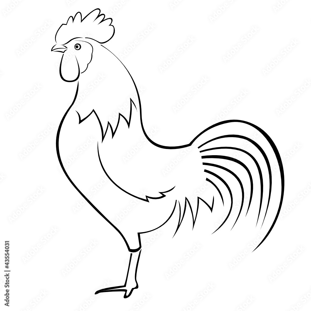 rooster outlines Stock Vector | Adobe Stock