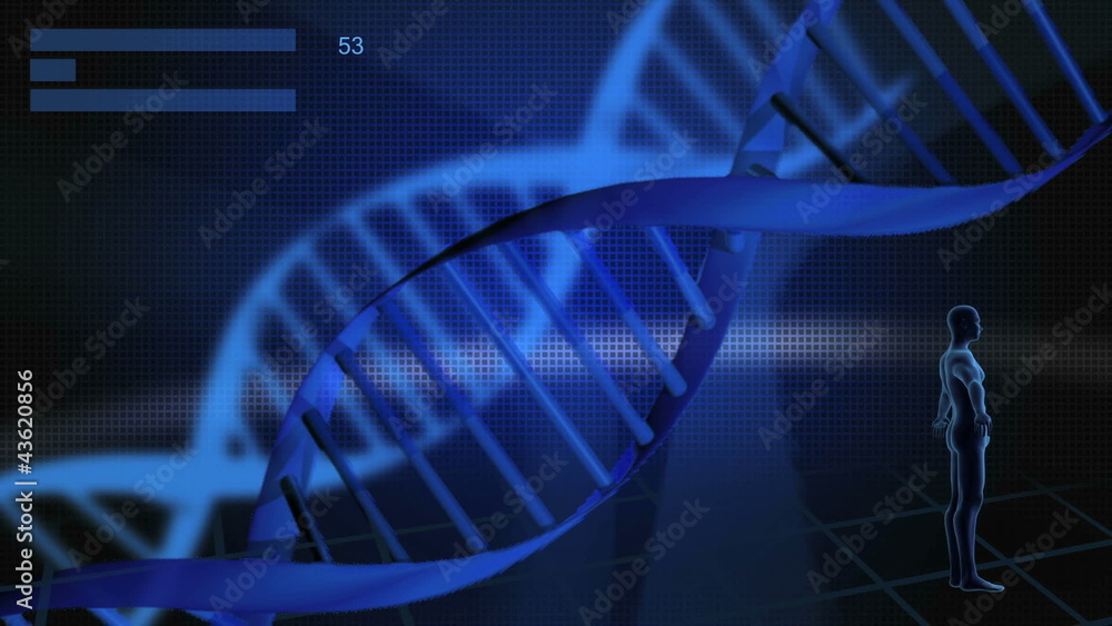 Montage Female Doctor Using CG Visual Research Stock-Video | Adobe Stock