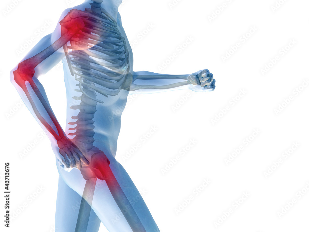 High resolution 3D human for anatomy, medicine and health Stock ...