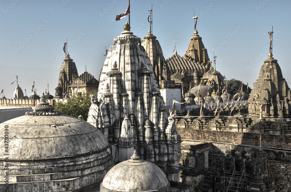 the temples of shatrunjaya, palitana, india Stock Photo | Adobe Stock