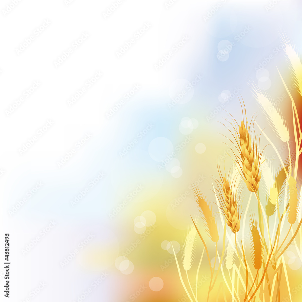 crop background Stock Vector | Adobe Stock