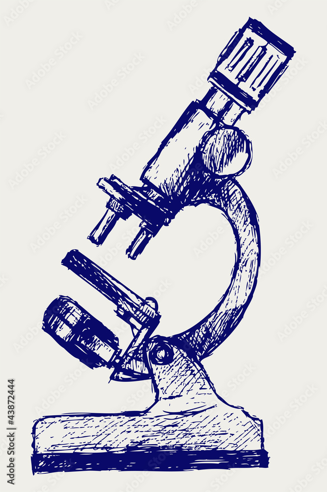 Microscope sketch Stock Vector | Adobe Stock