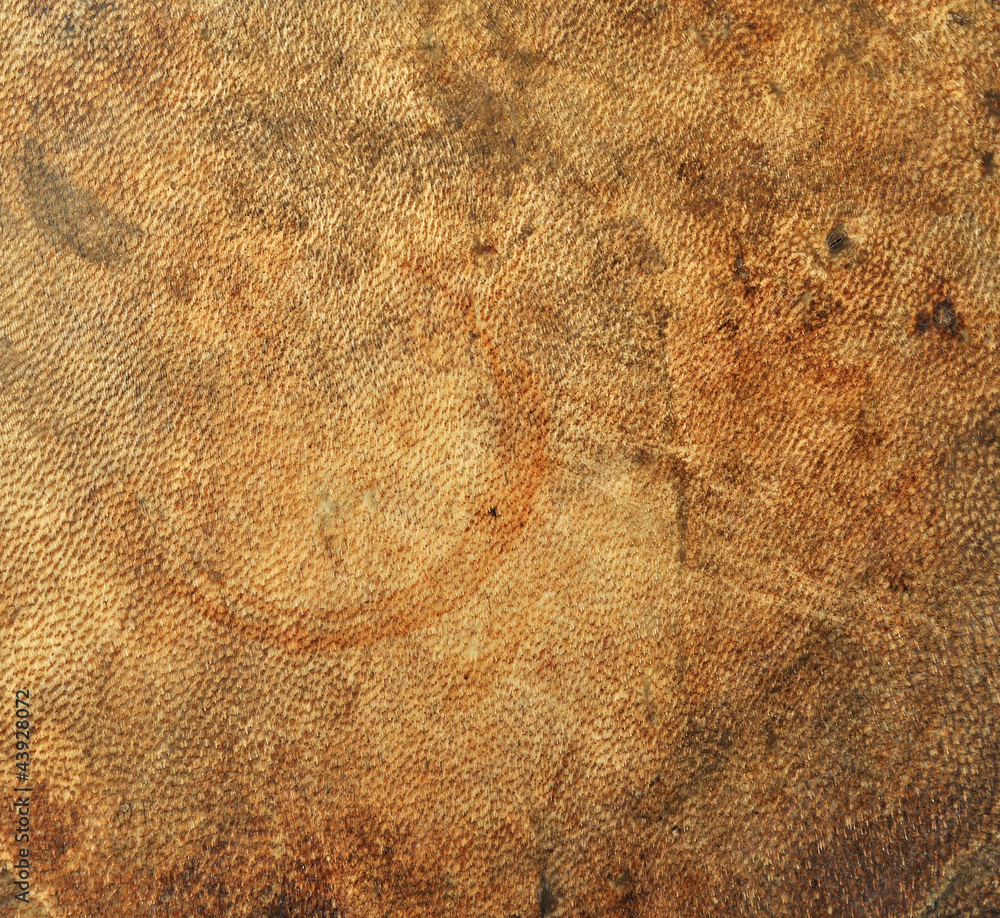 texture Stock Photo | Adobe Stock