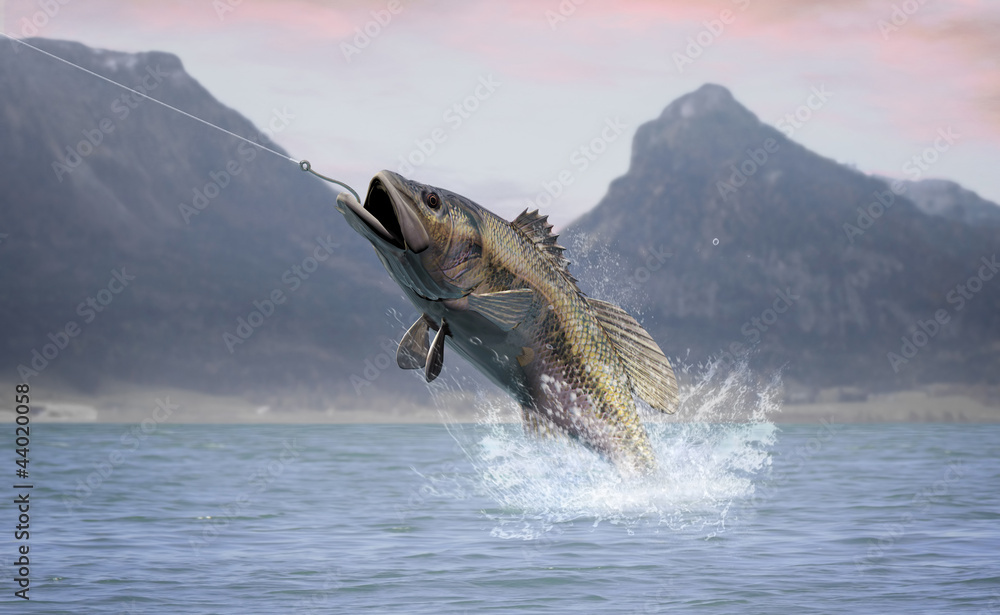 Great Catch Stock Photo | Adobe Stock