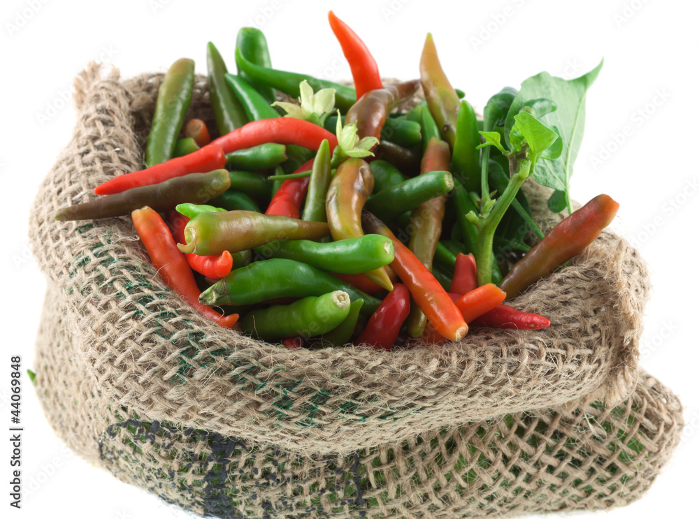 piments Photos | Adobe Stock