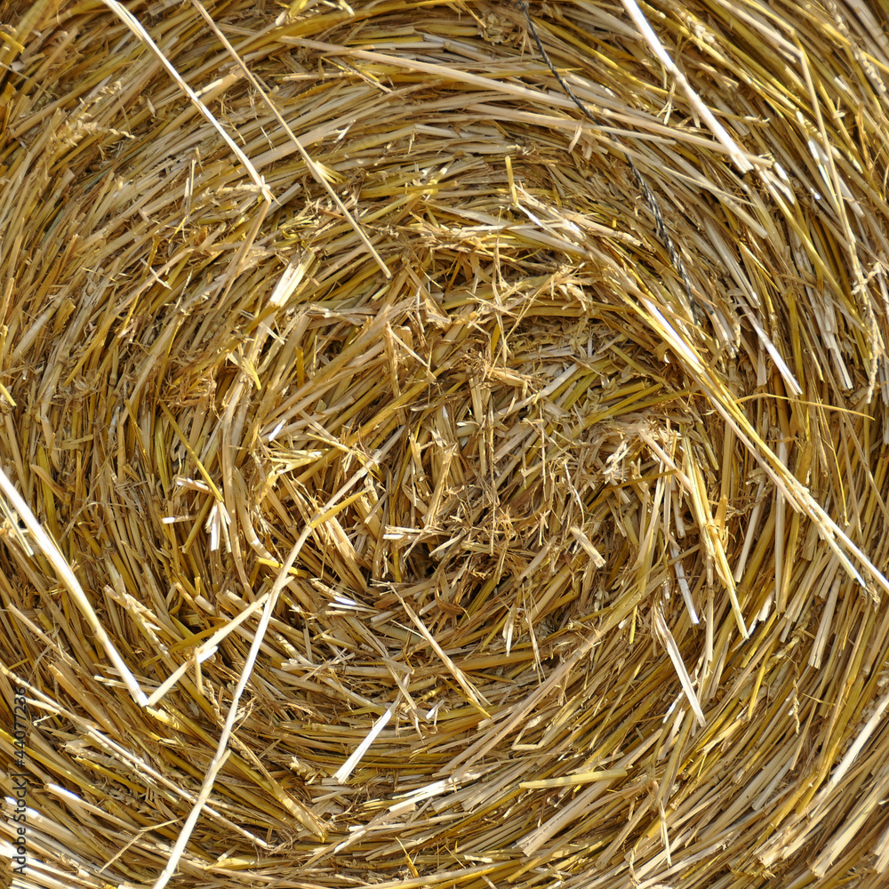 Ballot de paille fond Photos | Adobe Stock