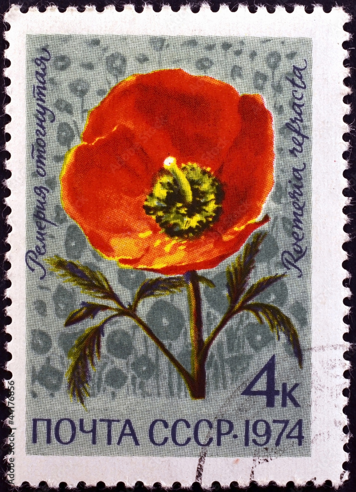 postage stamp Stock Photo | Adobe Stock