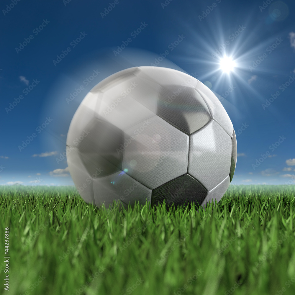 Fussball in bewegung auf Spielfeld 3D Stock-Illustration | Adobe Stock
