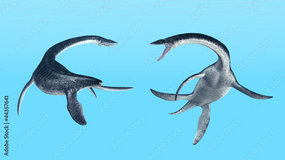 Plesiosaurus ilustración de Stock | Adobe Stock